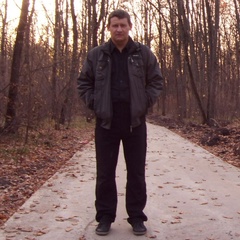 20 комиксов о голубе, который ведёт себя совсем как человек — Лайфхакер